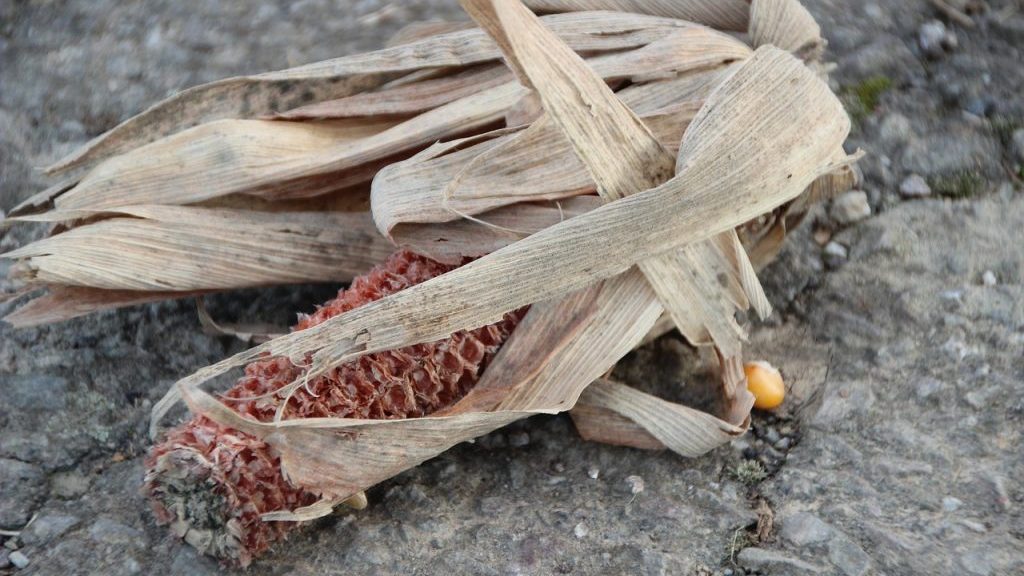 Helix - die Zukunft schon heute?