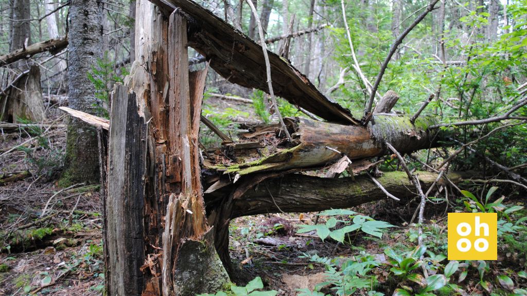 Arbeiten bis zum Umfallen